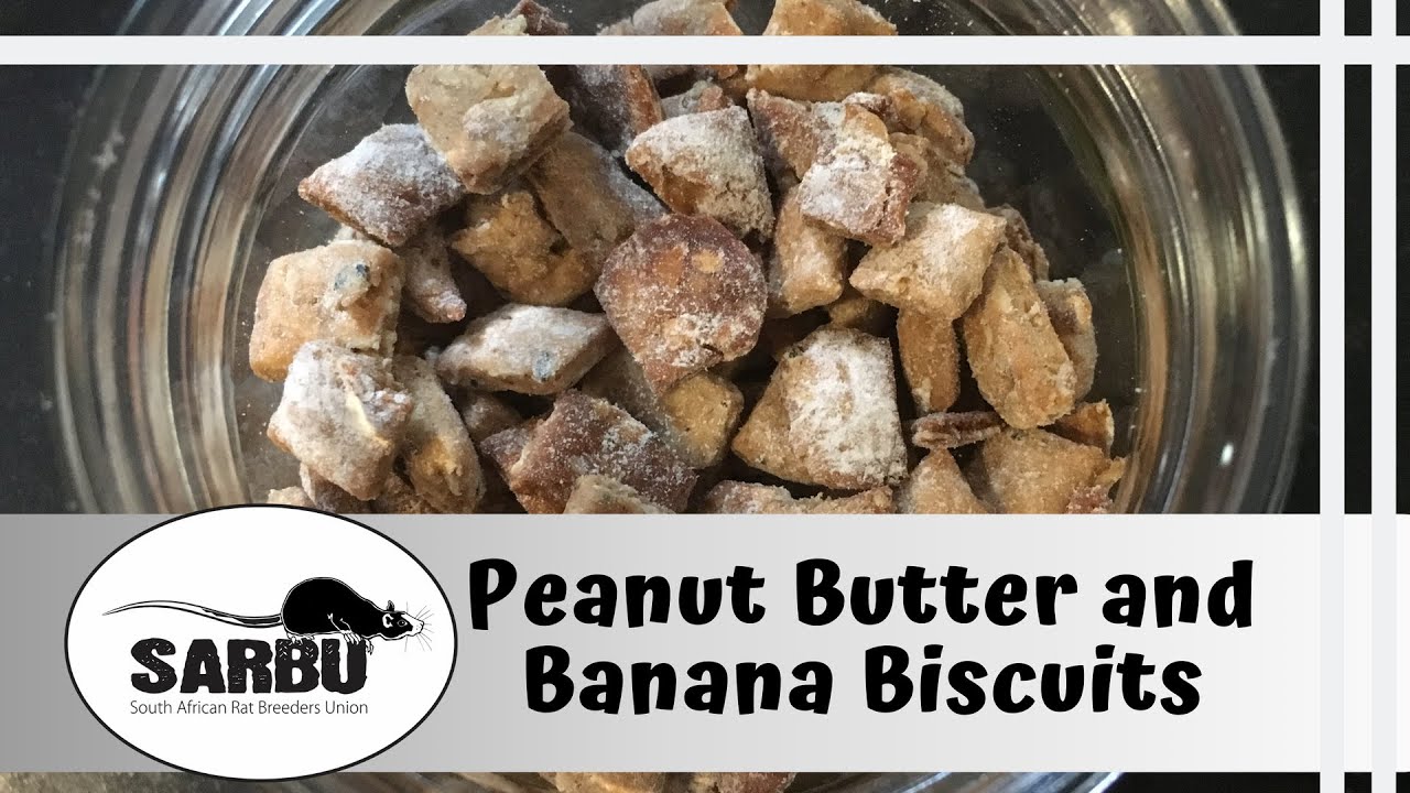 Baking Peanut Butter and Banana Biscuits for Your Rats - YouTube