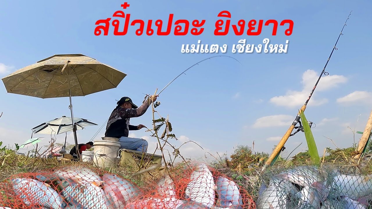 ตกสปิ๋วเปอะ 15 เมตร💥 ลุยอ่างบ้านกาด แม่แตง เชียงใหม่ 🎉 Ab-Fishing - YouTube