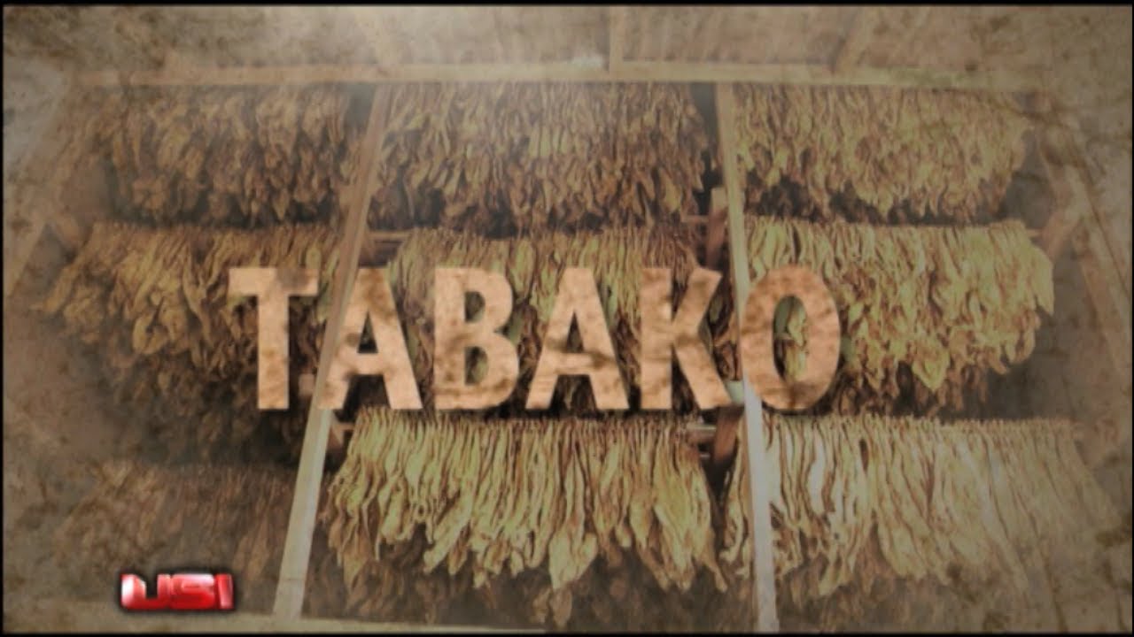Tabako | USI: Under Special Investigation - YouTube