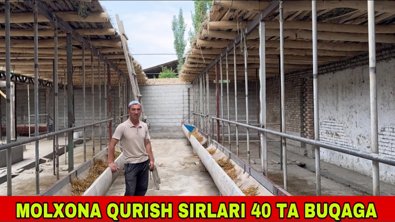 MOLXONA QURISH SIRLARI 40 TA BUQA BOQISH UCHUN 90-567-80-98 - YouTube