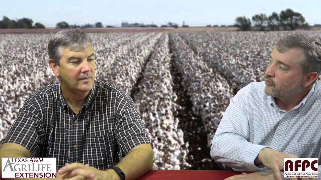 30 - Discussions With Shawn Wade, Plains Cotton Growers - Yield ...