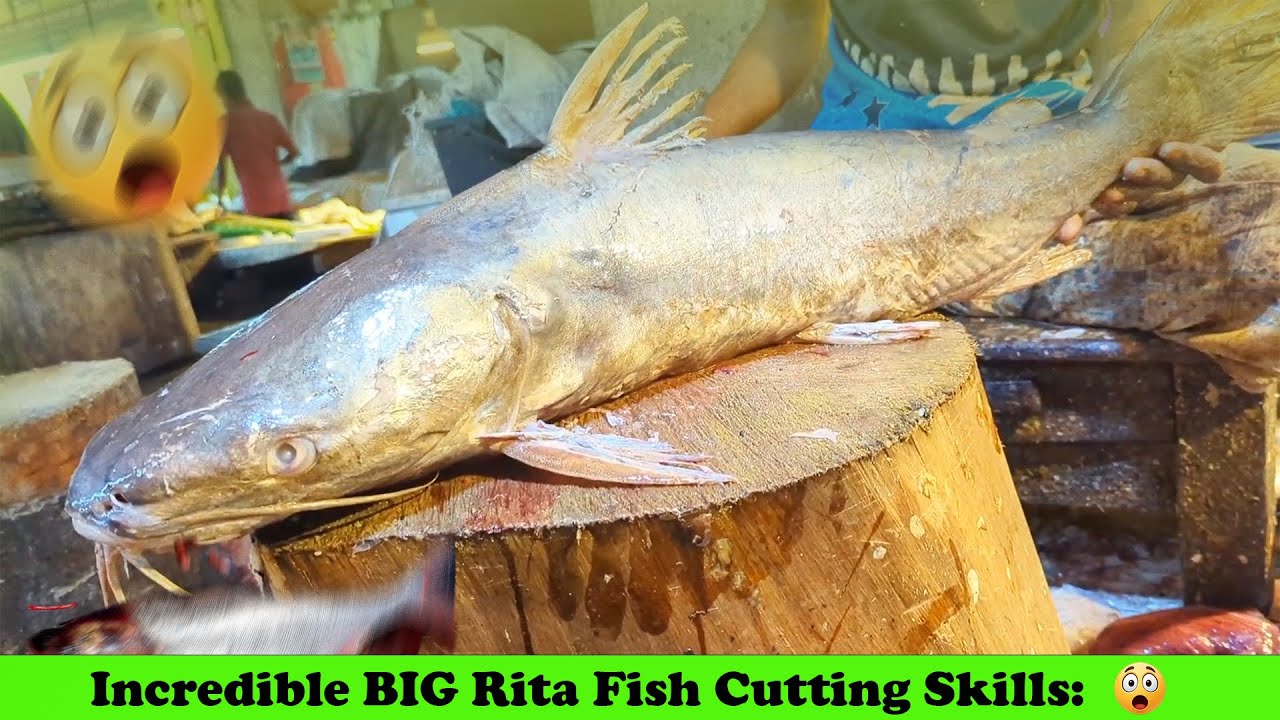 Incredible BIG Rita Fish Cutting Skills: Expert Red Coral Snapper ...