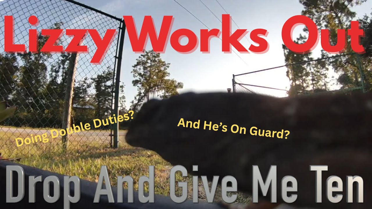 Lizzy Works Out - YouTube