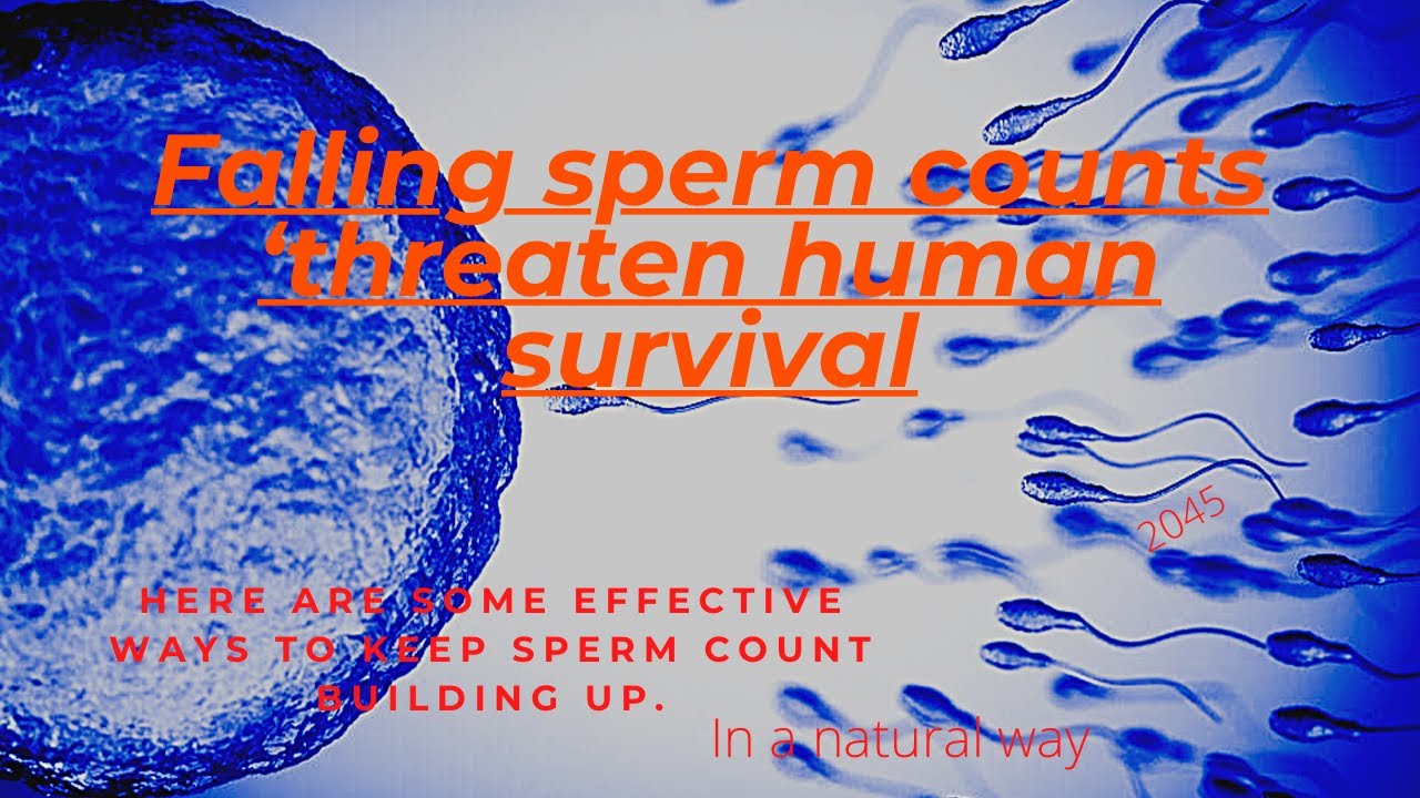Sperm counts Falling - pose a threat to human existence || (expert ...