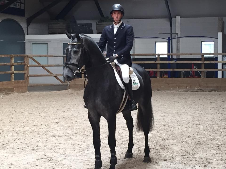 Hero Blue (Douglas x Indoctro x Mr. Blue x Quick Star), stallion, 2012 ...