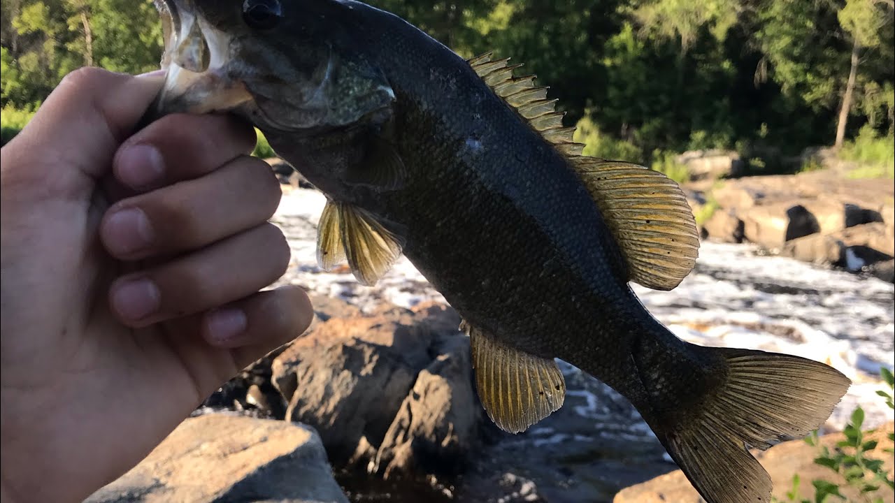 Big falls Minnesota on the big fork river going for smallmouth - YouTube