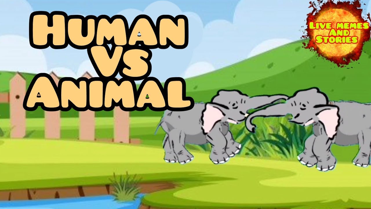 Man vs Animal || Cartoon Video today sad reality - YouTube