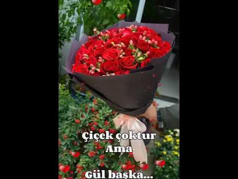 YÜREĞİ GÜZELOLAN  DOSTLARA GELSİN