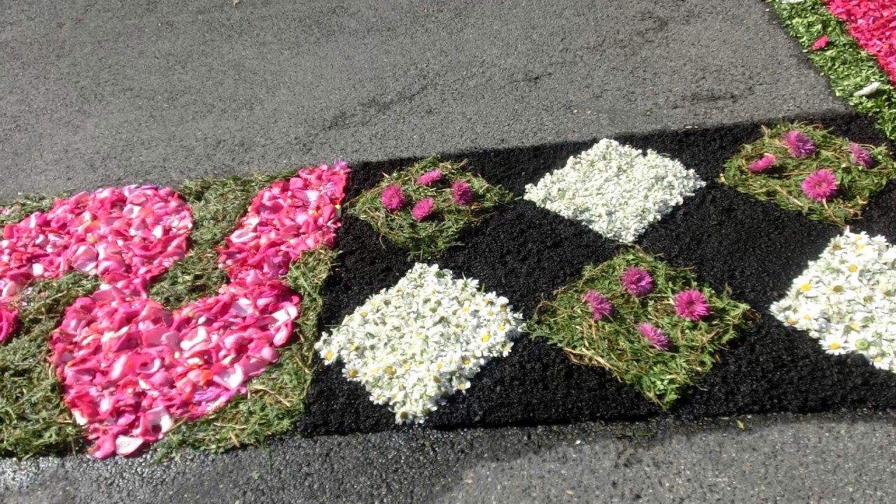 blumenteppich - YouTube