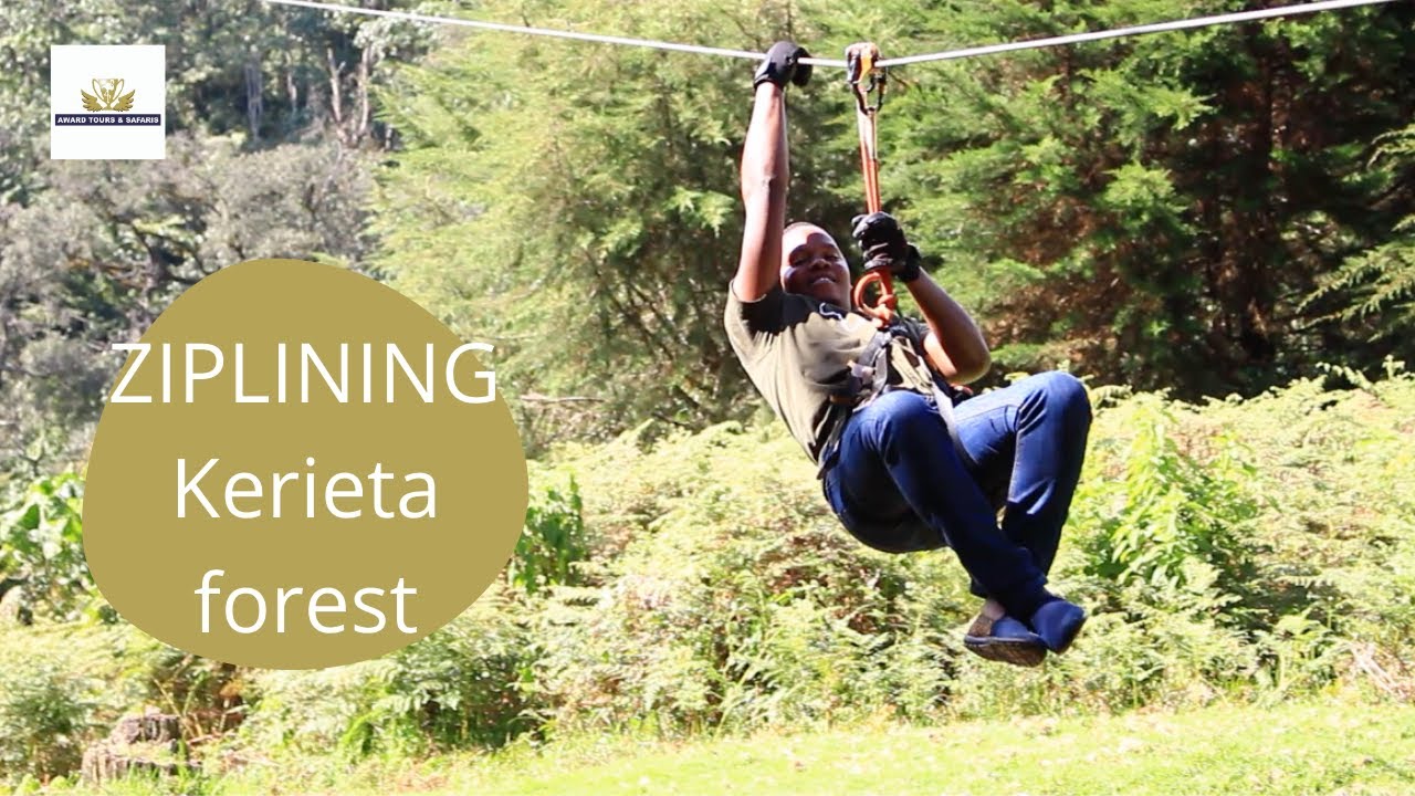 ZIP LINING Kereita Forest - Kenya | Award Safaris - YouTube