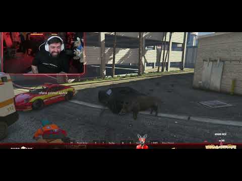 IMOGEN (MIREASA FANTOMĂ) ȘI HARA MISTREȚUL NEBUN PE FPLAYT - YouTube