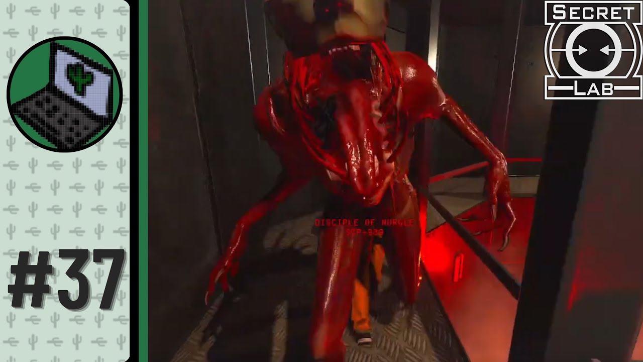 Spot_Lite Stream (SCP: Secret Laboratory #37) - YouTube