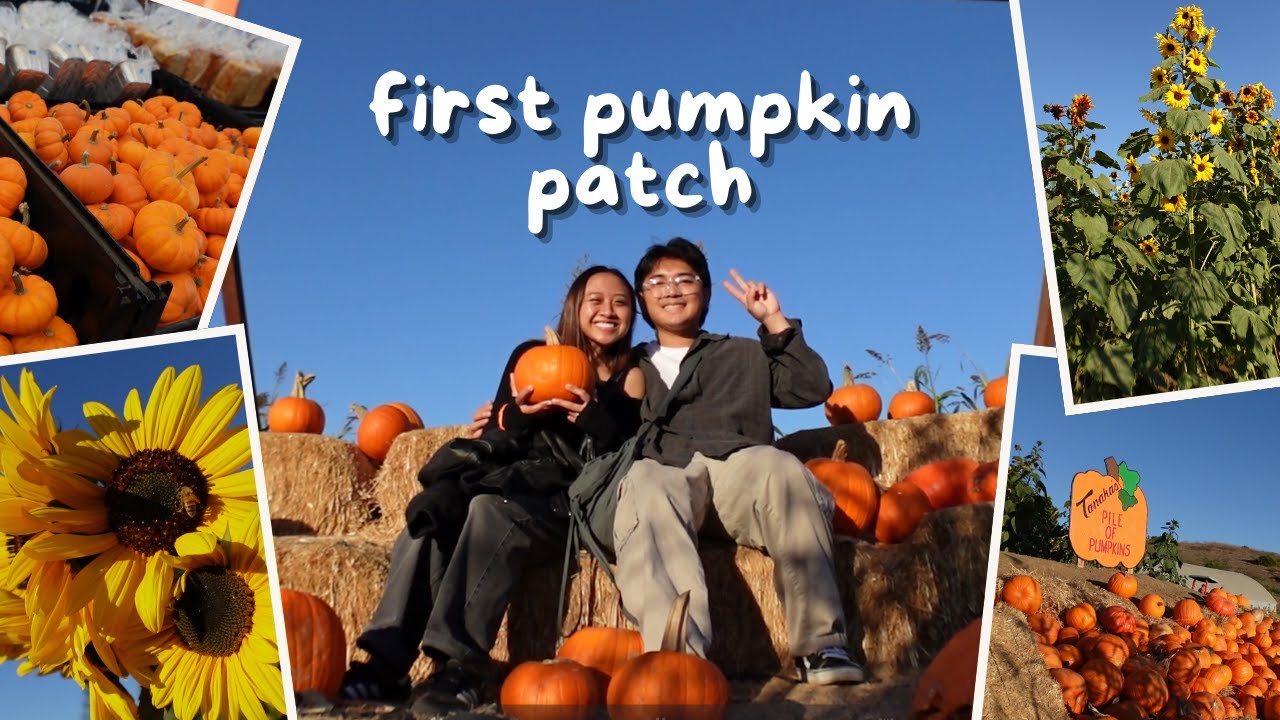 my first pumpkin patch • tanaka farms • vlog #23 - YouTube