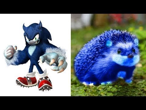 Sonic Characters In Real Life 2019 - YouTube