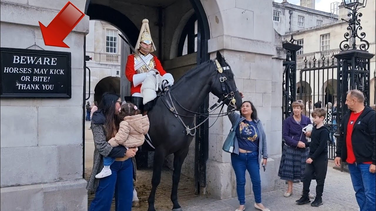 Keep your distance! Beware! Horses May Kick or Bite - YouTube