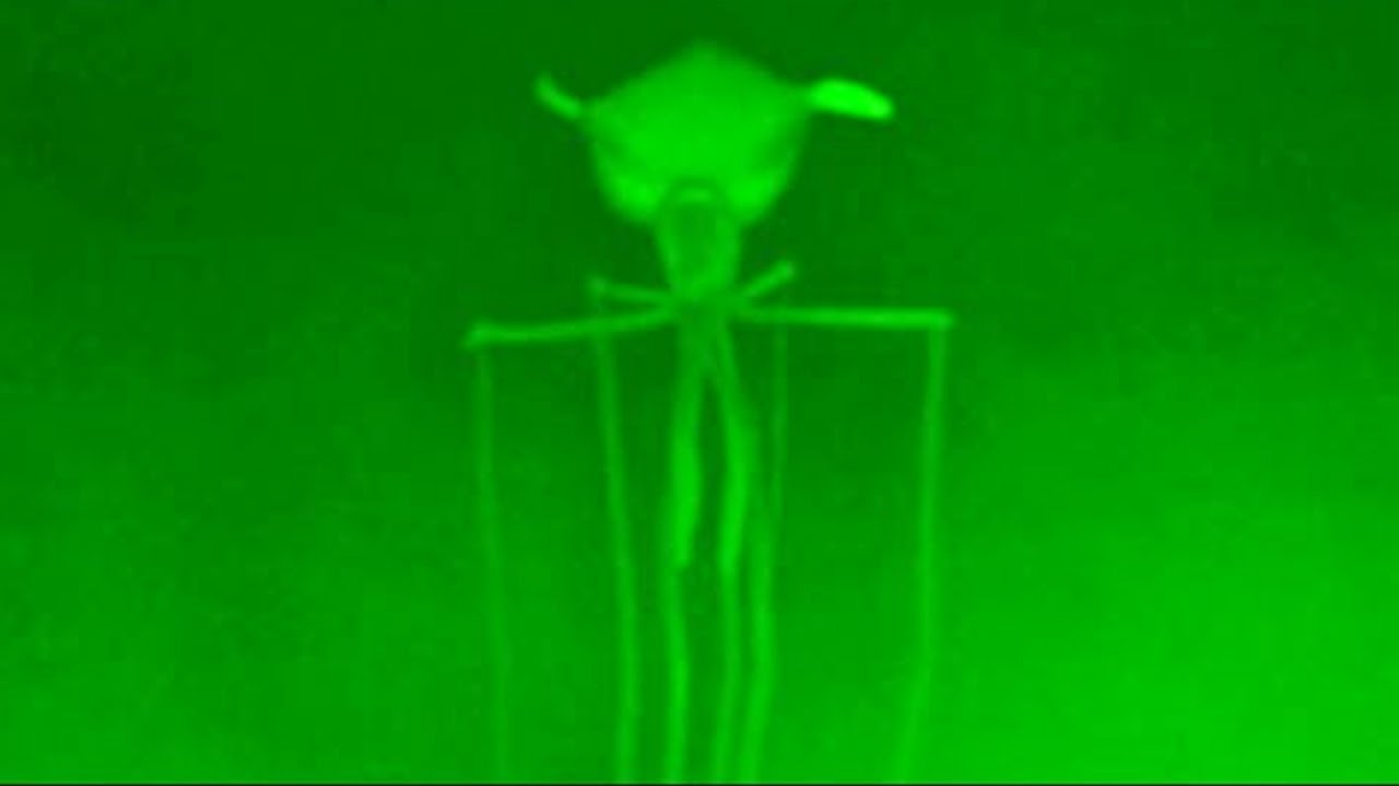 alien found in ocean.. - YouTube