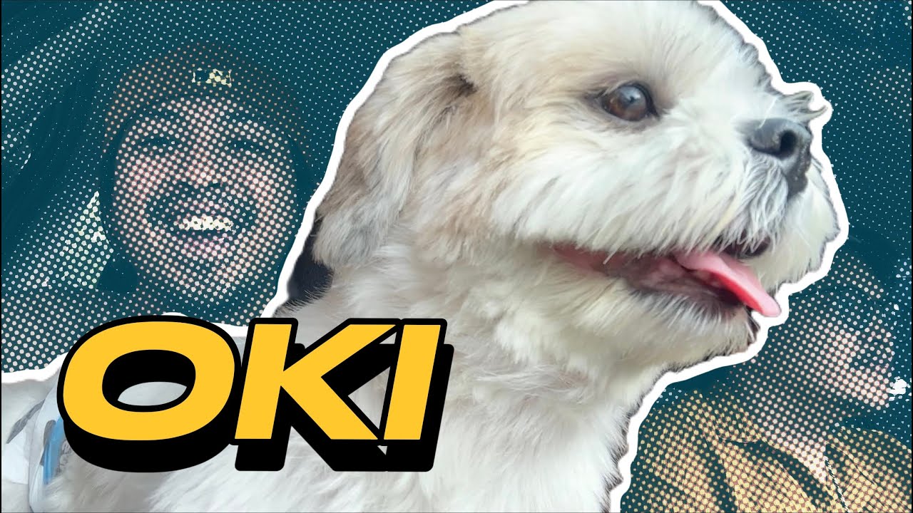 7 | OKI - YouTube