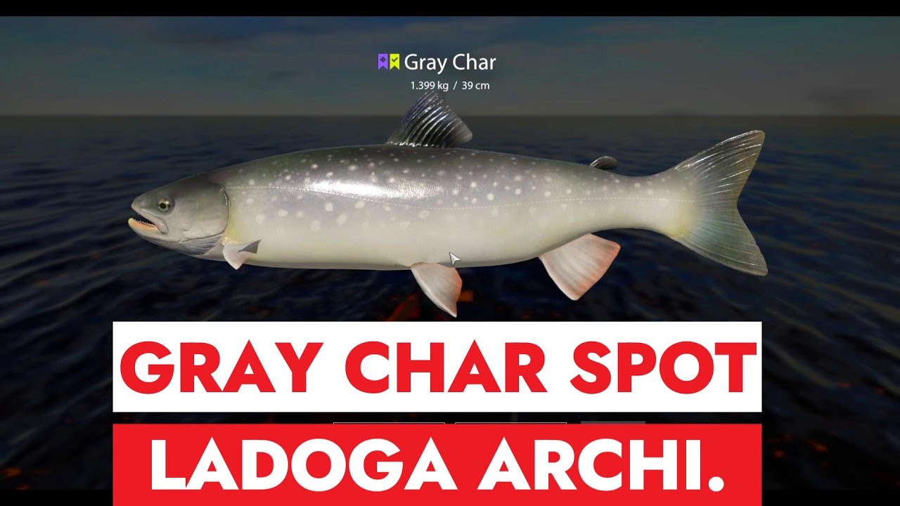 RF4 - RUSSIAN FISHING 4 - GRAY CHAR SPOT - LADOGA ARCHIPELAGO - YouTube