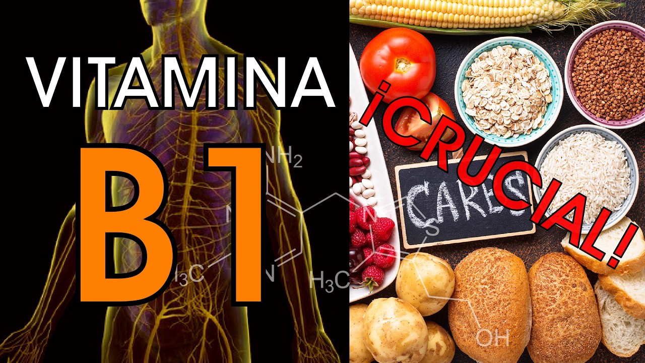 Tiamina (Vitamina B1): por qué es más importante de lo que crees - YouTube