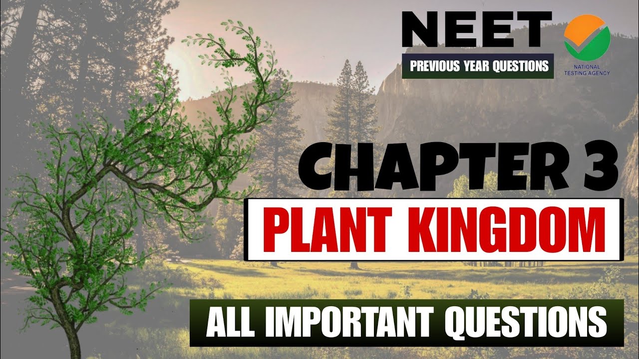 NEET PYQ | CHAPTER 3 : PLANT KINGDOM | CLASS 11 #NEET - YouTube