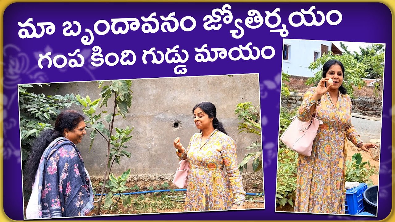 Jyothi Reddy గారి మాటల్లో Kalaguragampa గురించి/Actress Jyothi Reddy ...
