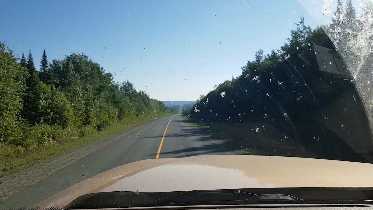 Mount Carlton highway 180 New Brunswick (resources road) - YouTube