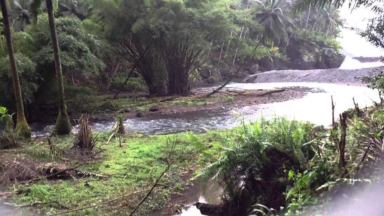 caminho a praia de binda Rui Rodrigues Explores Sao Tome - YouTube
