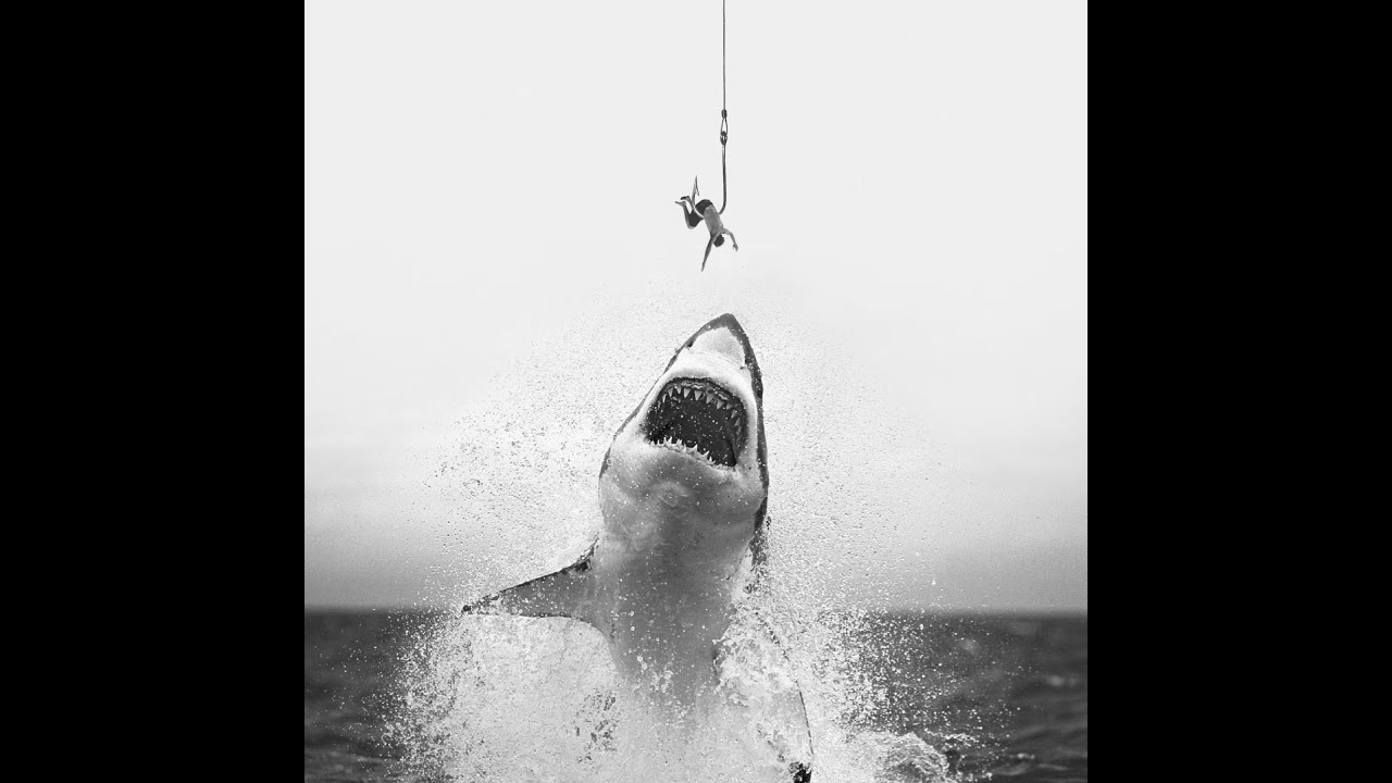 The Maw - Shark Attack - YouTube