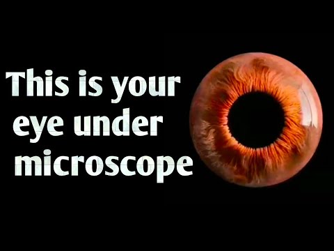 This is your eye under microscope. - YouTube