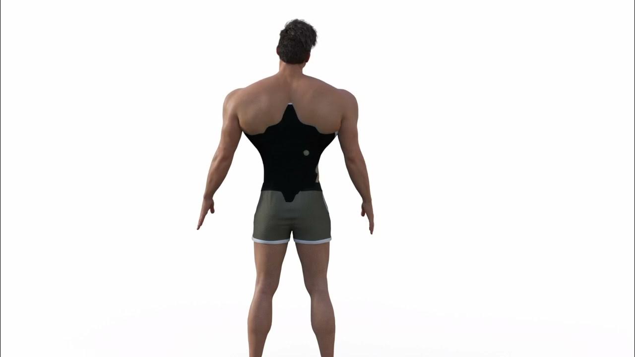 Male Muscle Growth Animation Youtube
