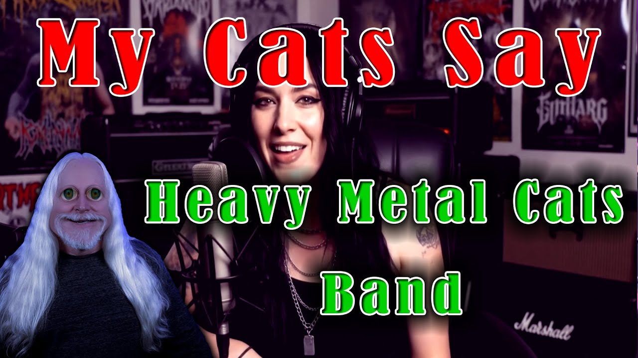 My Cats Say... "Heavy Metal Cats Band Video" - YouTube