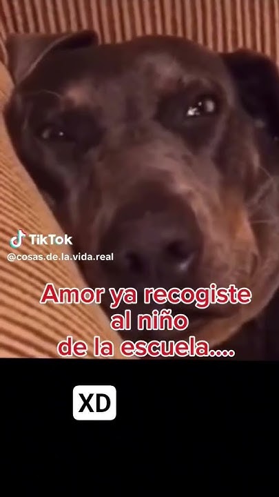 Ese es mi papa - YouTube