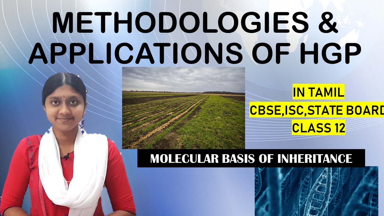 Methodologies & Applications Of HGP| In Tamil| Class 12| Molecular ...