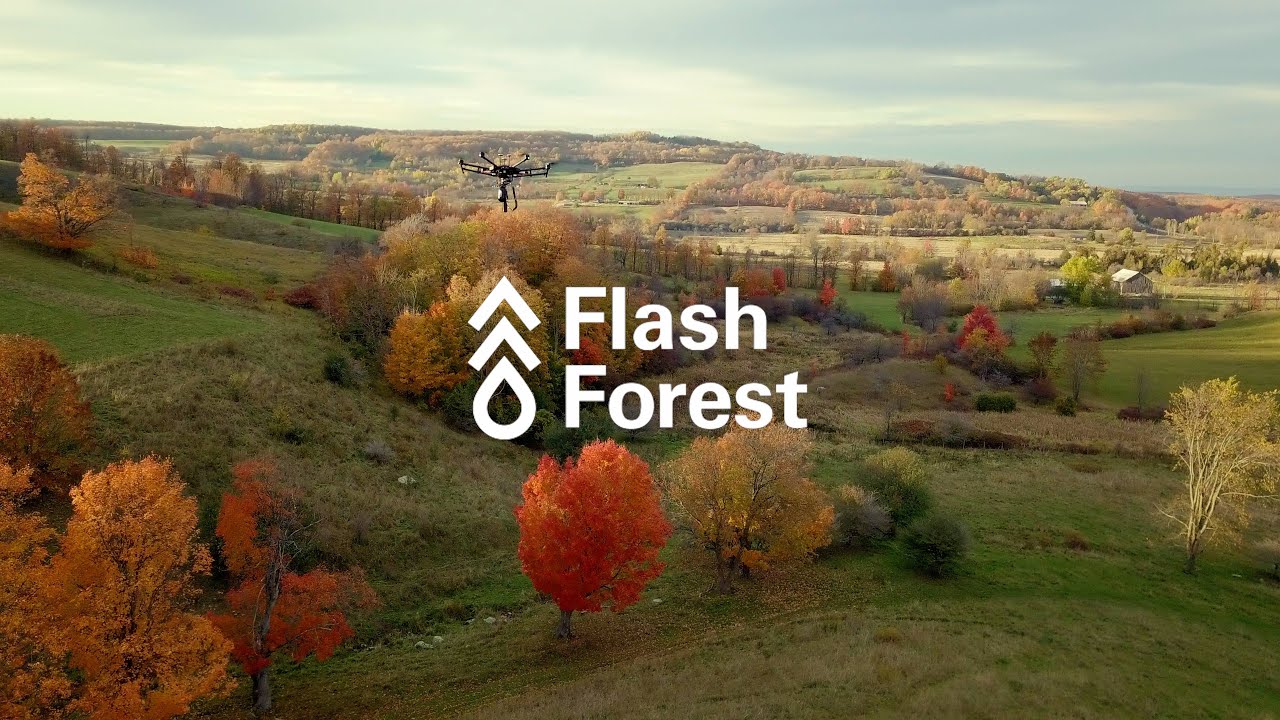 Flash Forest: Using Drones to Plant 1 Billion Trees - YouTube