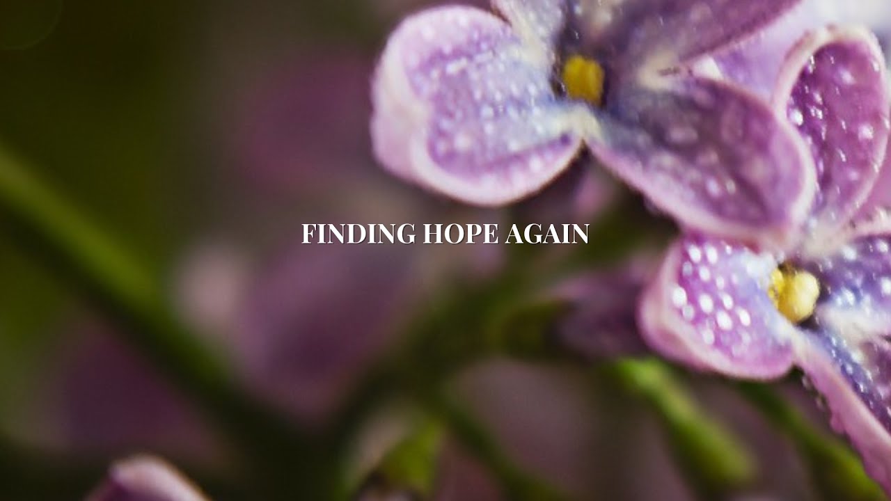 Finding hope Again When you are tired and overwhelmed by life’s ...