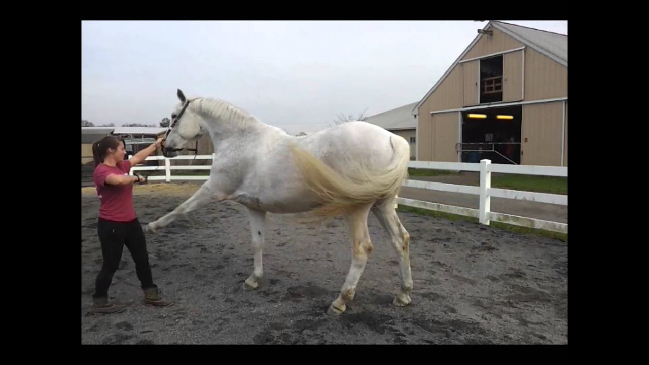 spanish walk FIRST FULL TIME - YouTube