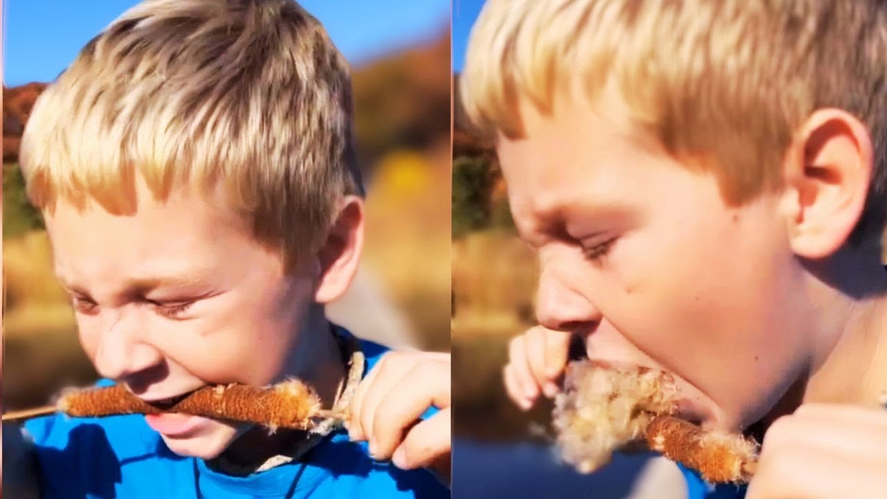 Boy Eats Cattail INSTANT REGRET, Fort Lauderdale Airport Gets Flooded ...