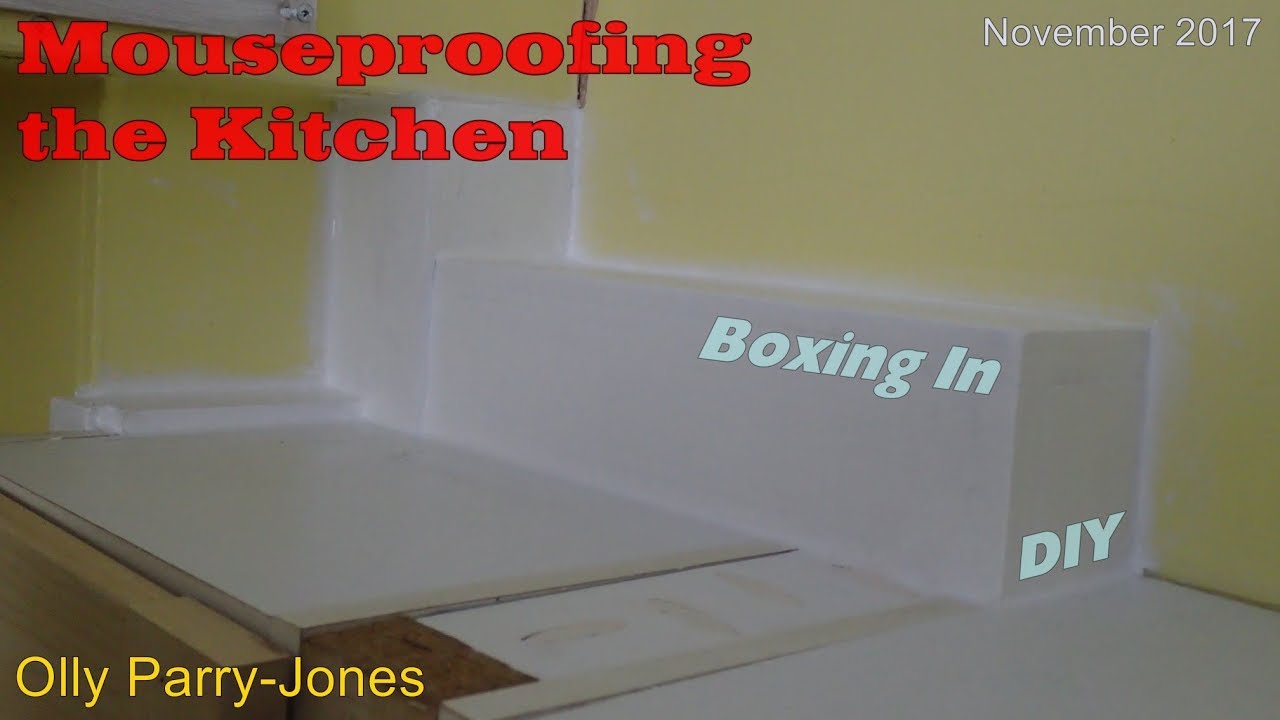 Mouseproofing the Kitchen - YouTube