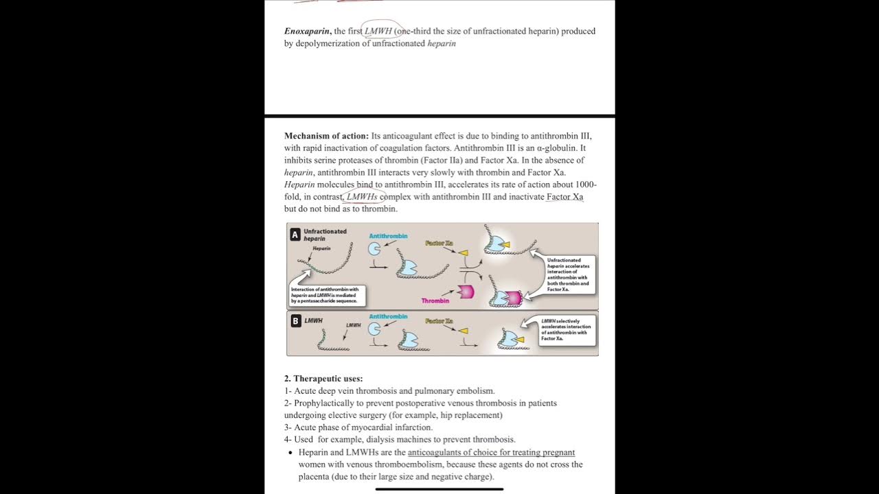 Pharma lec4 part 3 - YouTube