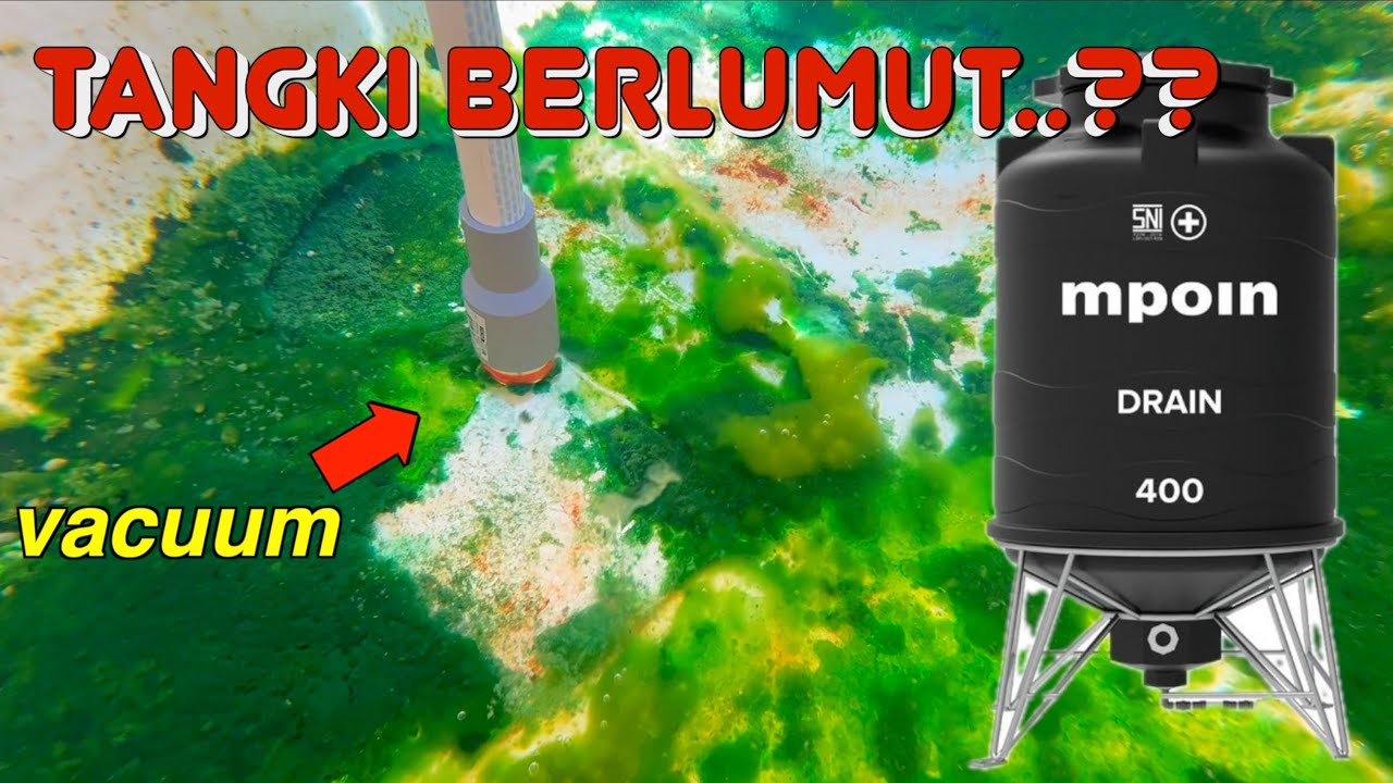 Solusi Tangki Berlumut dan Cara Pasang Tangki Air MPOIN Drain Anti Lumt ...