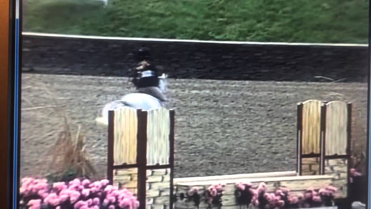 Rosehaven Legacy and Elise Heim Marshall & Sterling Finals 2013 - YouTube