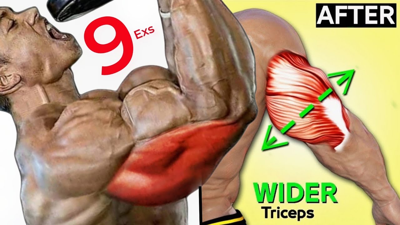 Best Exercises to build Huge ARMS - Triceps Workouts - YouTube