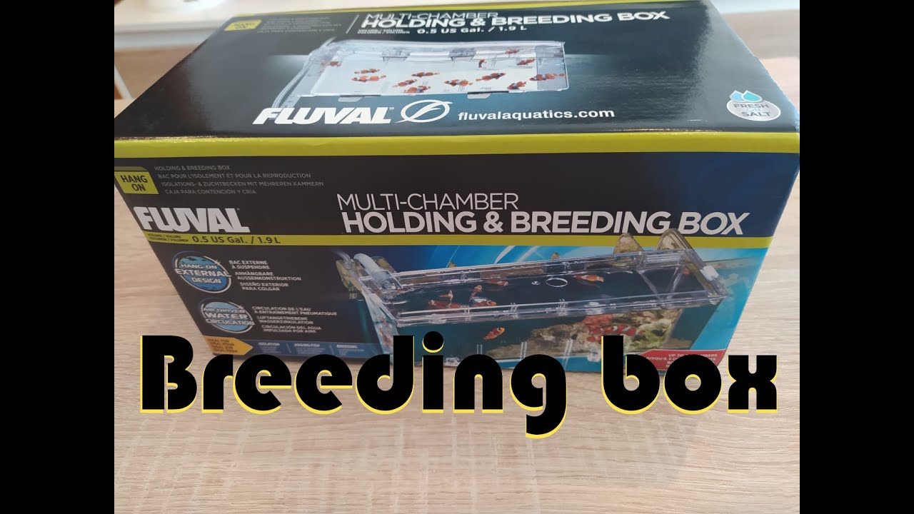 Unboxing and review: Fluval breeding box - YouTube