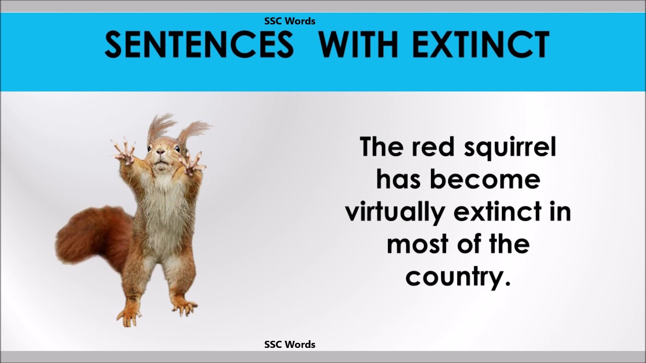 Extinct word - Improve English - Meaning and 5 sentences - GRE / CAT ...
