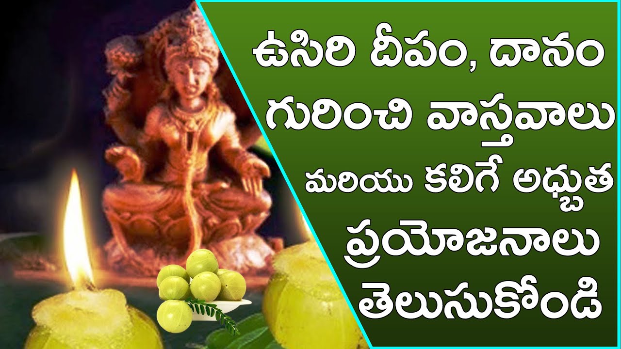 Importance of Usirikaya Deepam and Usiri Daanam ఉసిరి విశిస్టత - YouTube