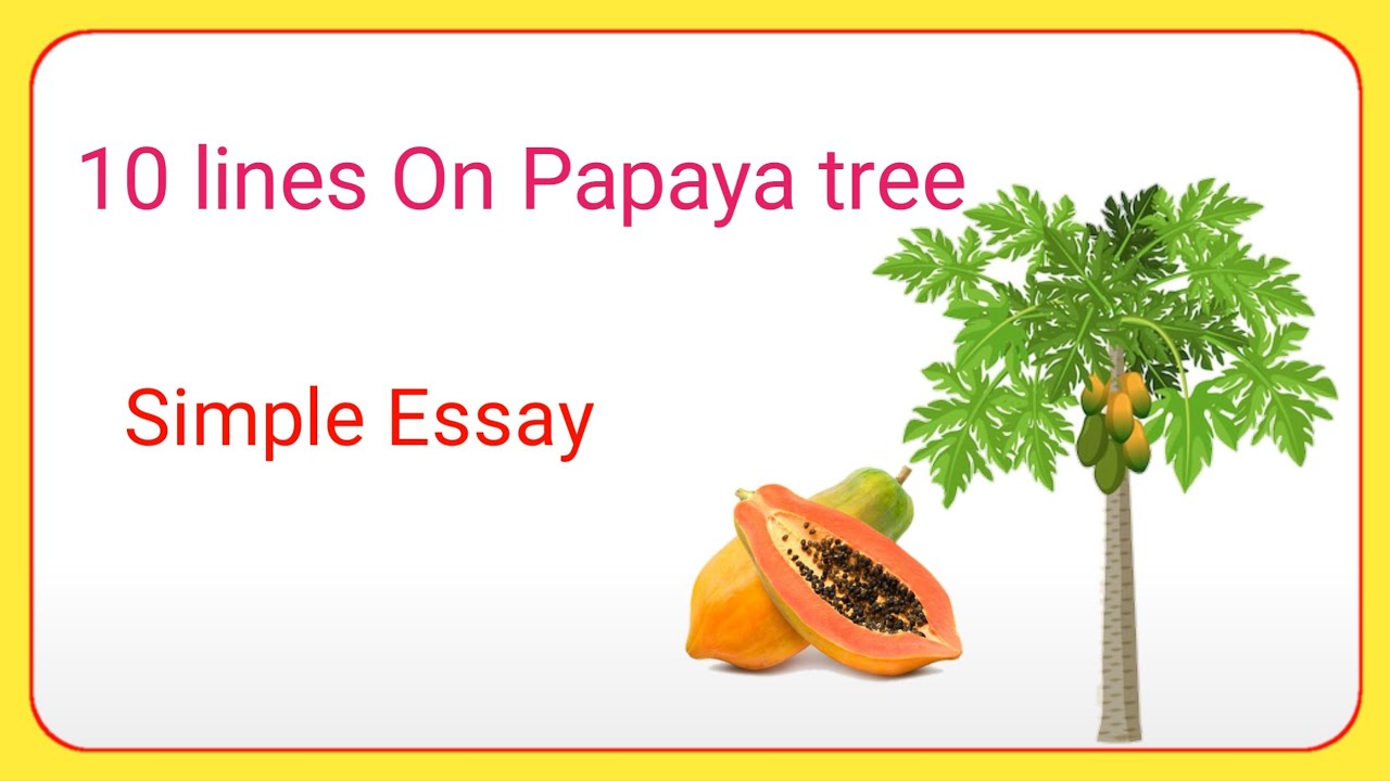 10 lines On Papaya tree in English || Essay On Papaya tree in English ...