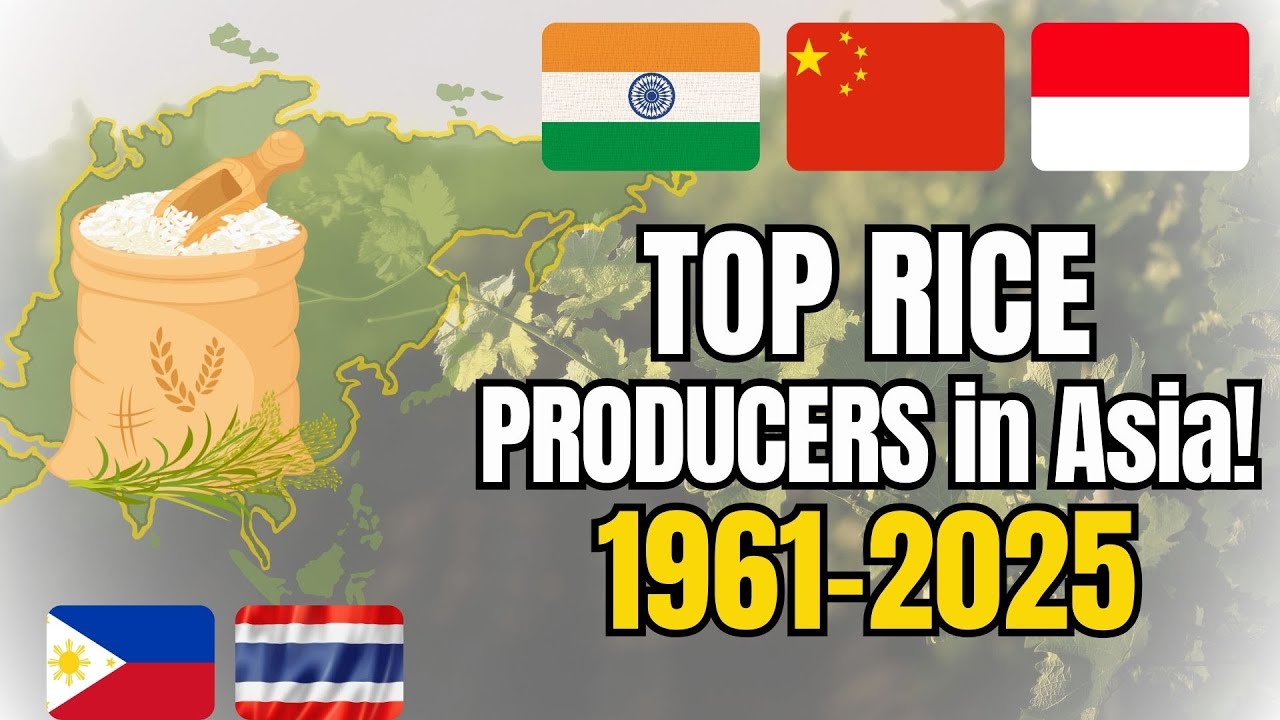 🌏 Top Rice Producing Countries in Asia (1961–2025) 🍚 | The Largest Rice ...