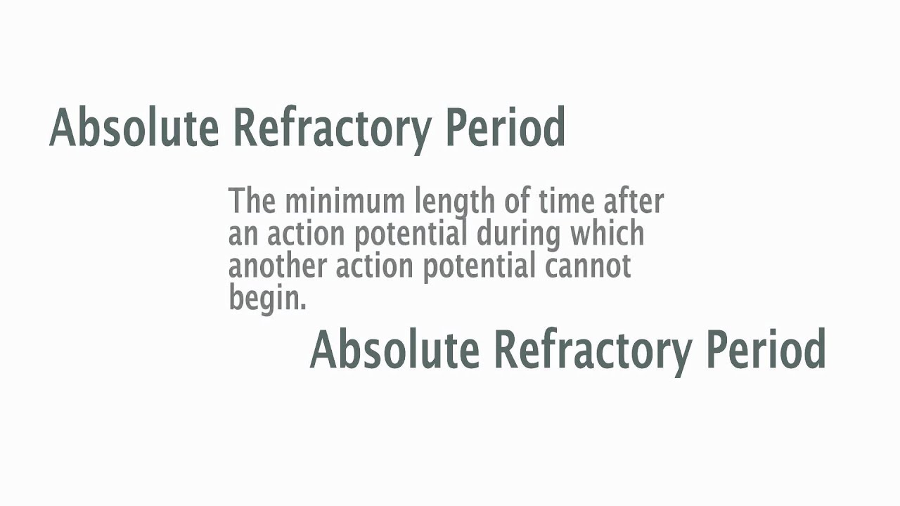 Absolute Refractory Period - YouTube