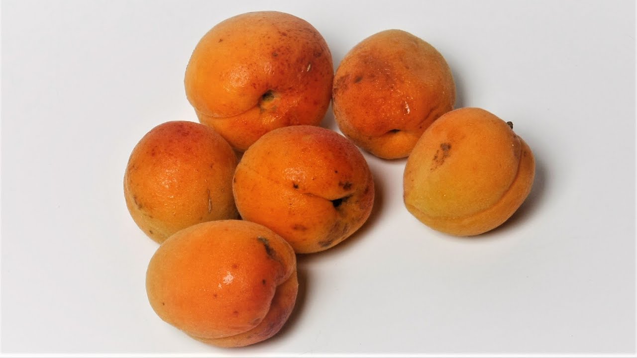 Apricot timelapse - YouTube