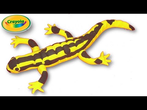 Crayola Model Magice European Fire Salamander - YouTube